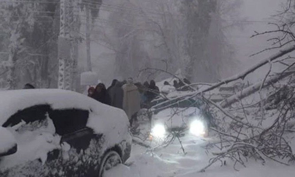 Preliminary report of Murree tragedy submitted to Punjab government