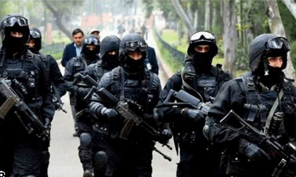 10 terrorists arrested in CTD Punjab operations