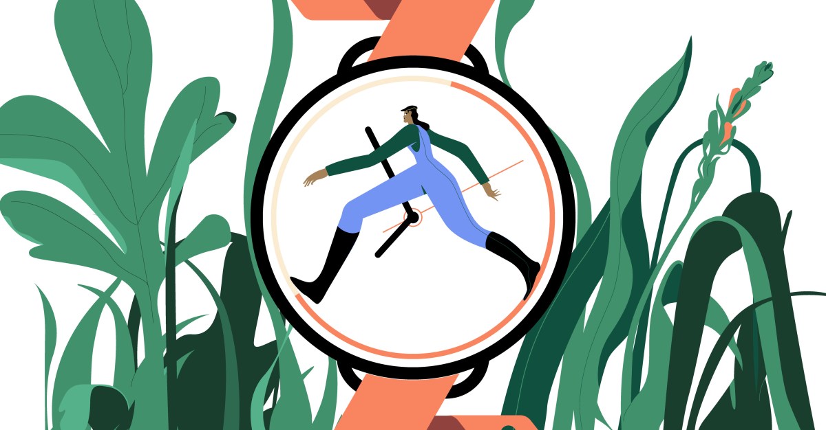 Obsessive step counts are ruining walking