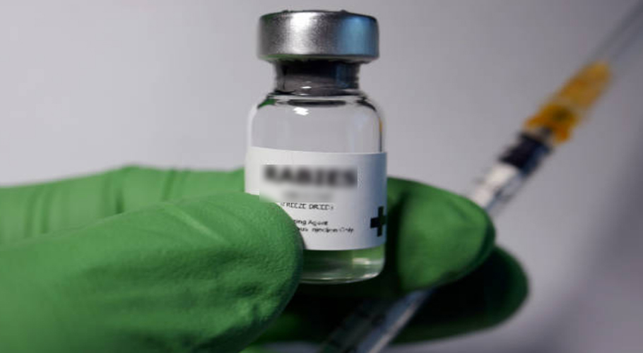 Pakistan achieves milestone: First fully local rabies vaccine developed