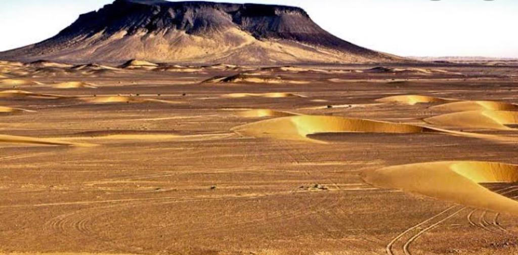 ADB approves $410m for Reko Diq project