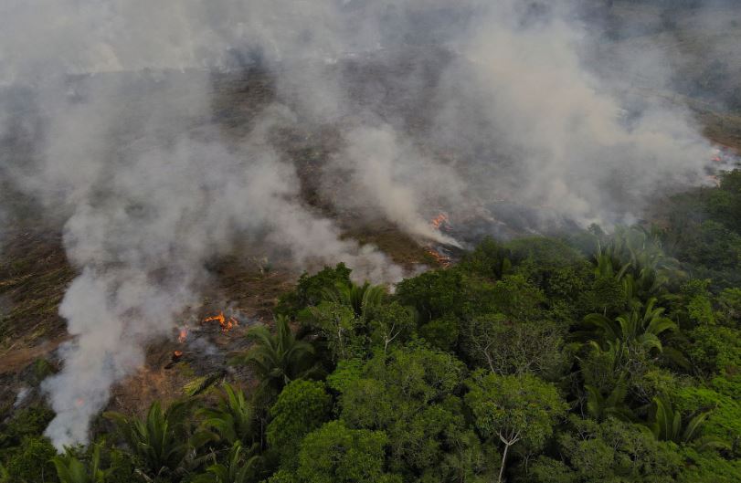 Fires in Brazil's Amazon forest surge in August to its peak since 2010