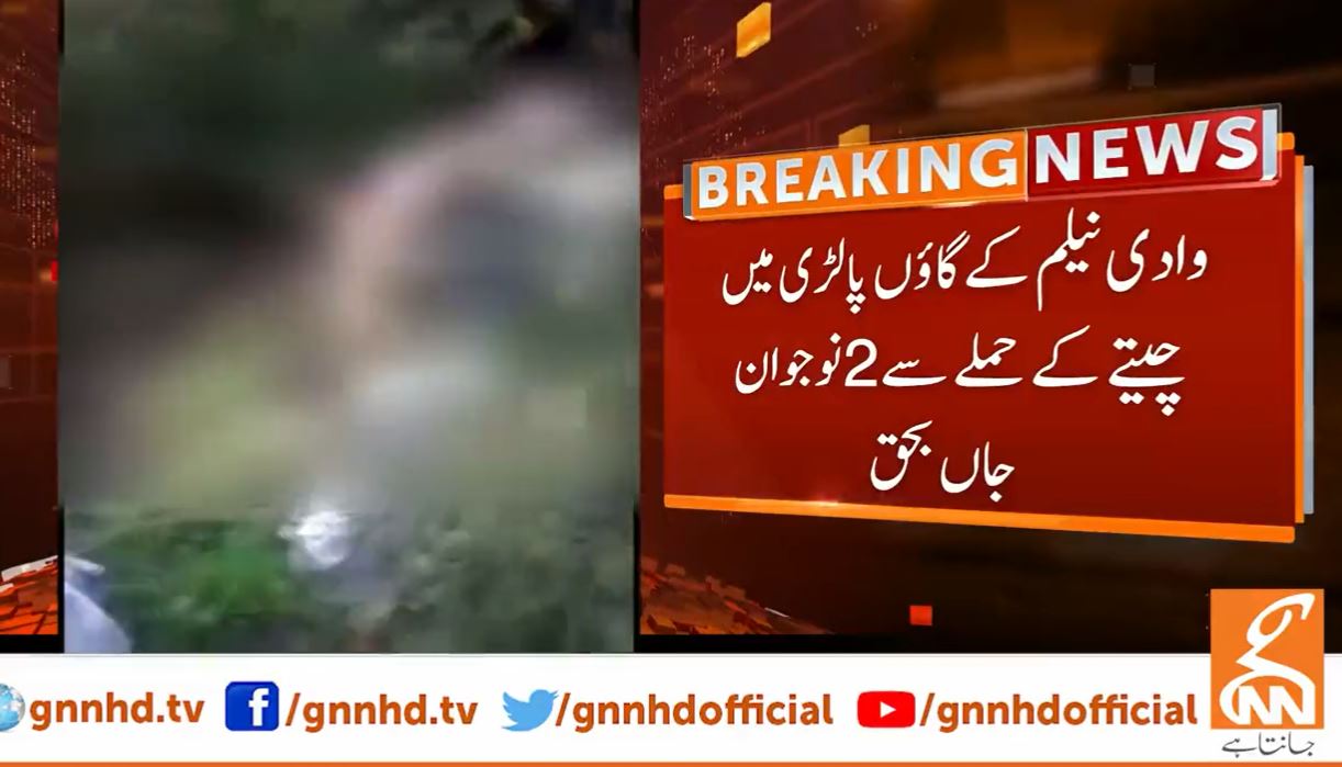 Leopard kills two brothers in Azad Kashmir