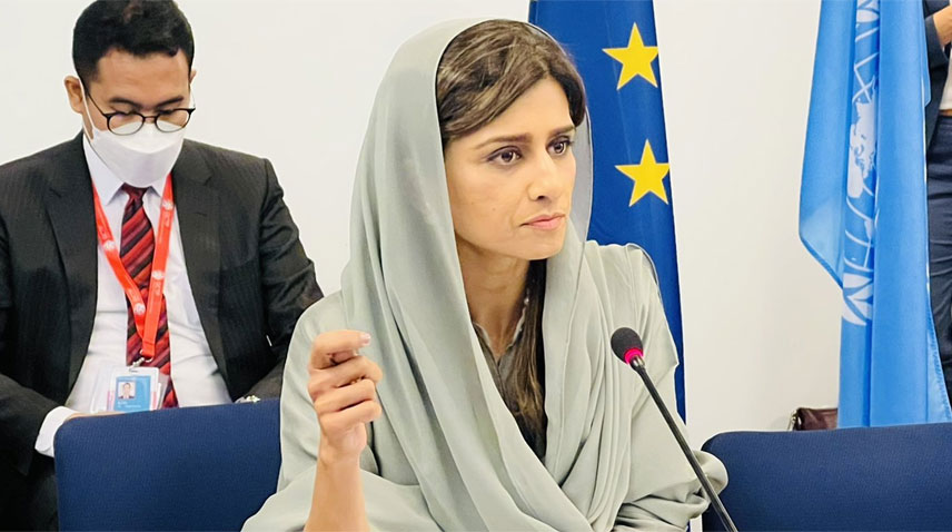 Hina Khar reiterates Pakistan's proposal for renewed paradigm for arms ...