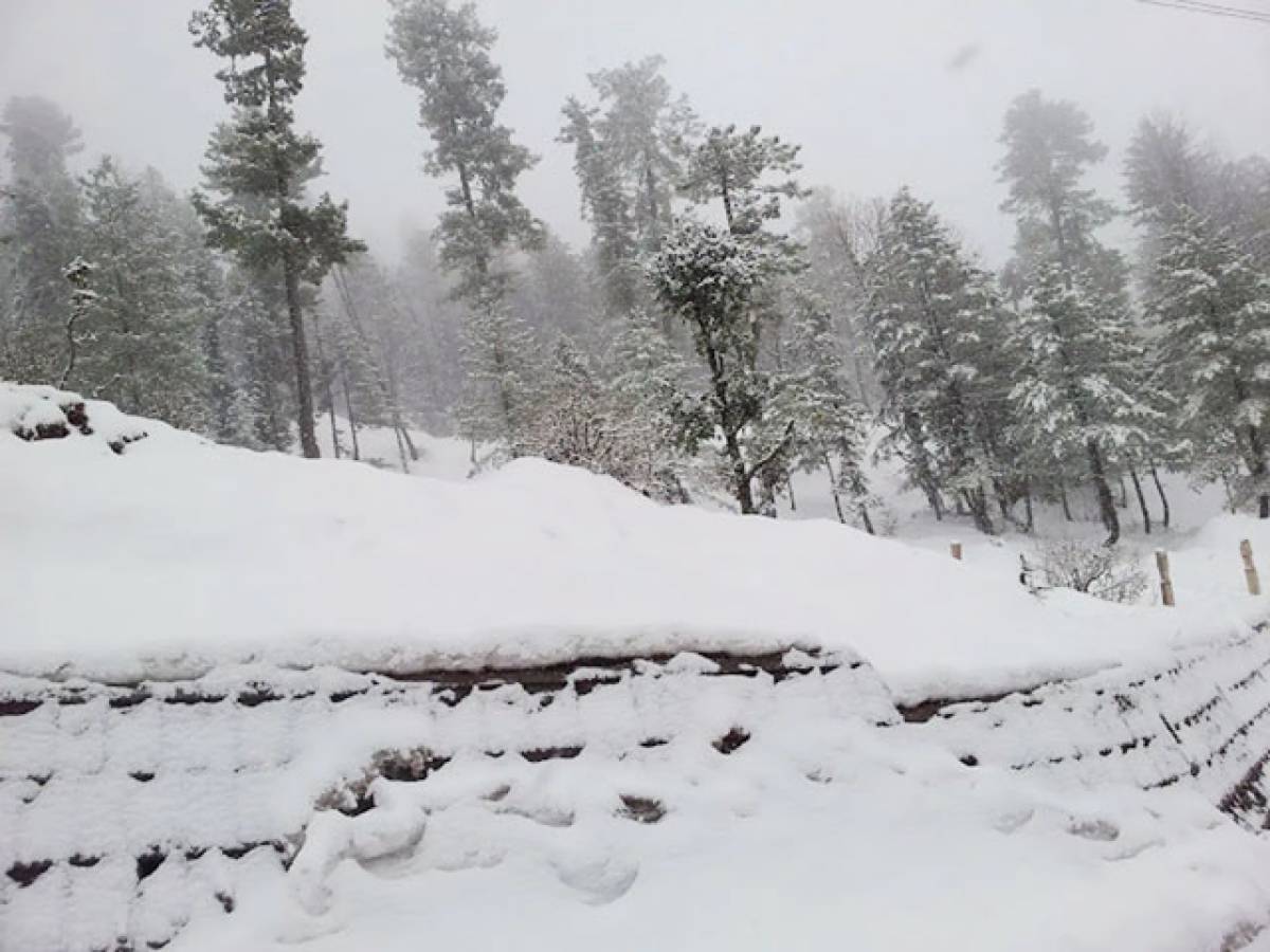 Arrangements finalized to facilitate tourists in Murree