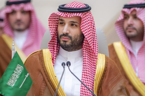 Saudi Crown prince holds Israel responsible for Gaza crisis, calls for ...